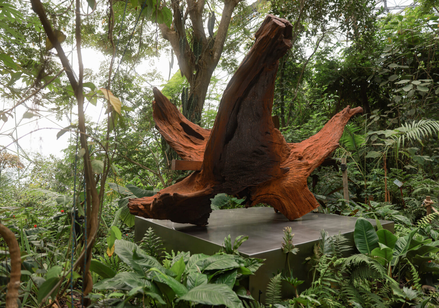 Ai Weiwei’s Fly lands in the Eden Project’s Rainforest Biome - FAD Magazine