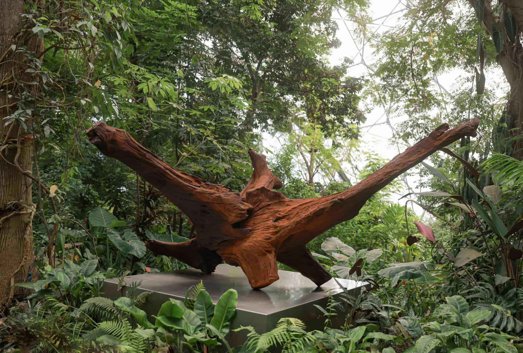 Ai Weiwei’s Fly lands in the Eden Project’s Rainforest Biome - FAD Magazine