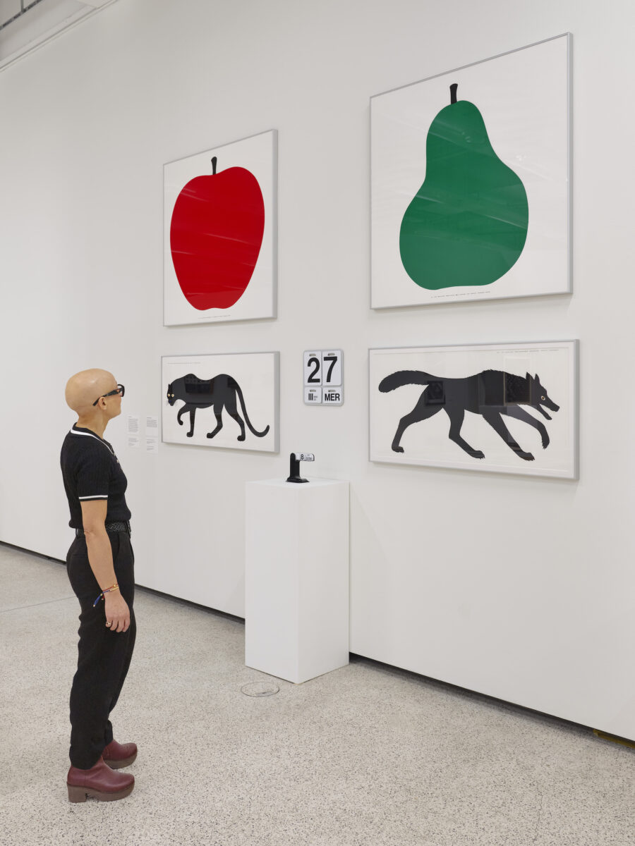 REVIEW: Enzo Mari - FAD Magazine