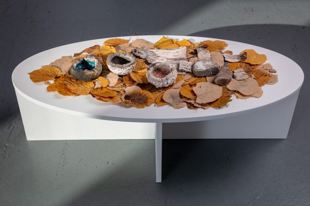 Harvest - An Earthy Dialogue between Marta Jakobovits and Anderson ...