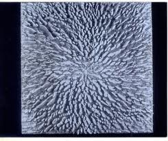 Beeswax art from Lerone Wilson - FAD Magazine