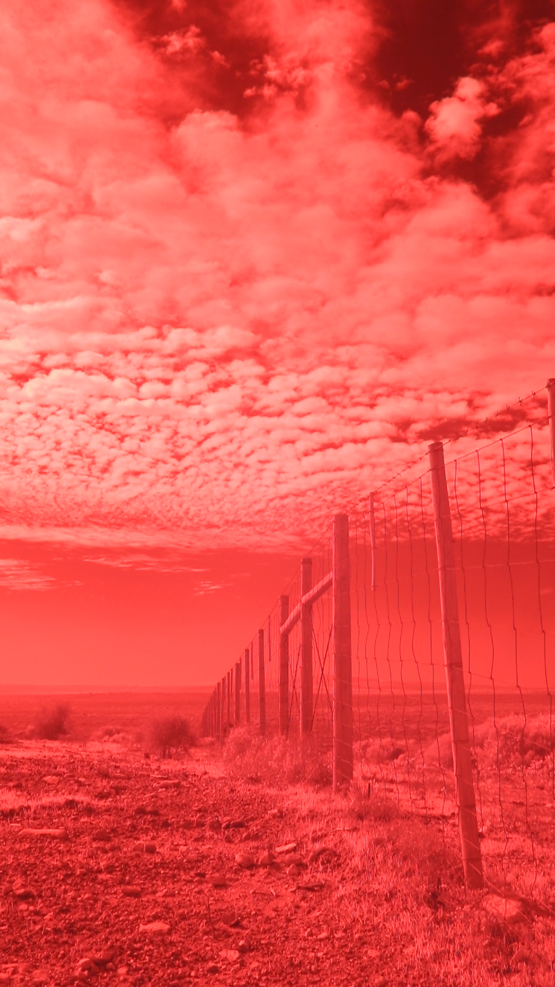 Artangel today launches Red Lines by pioneering new media artist Evan ...