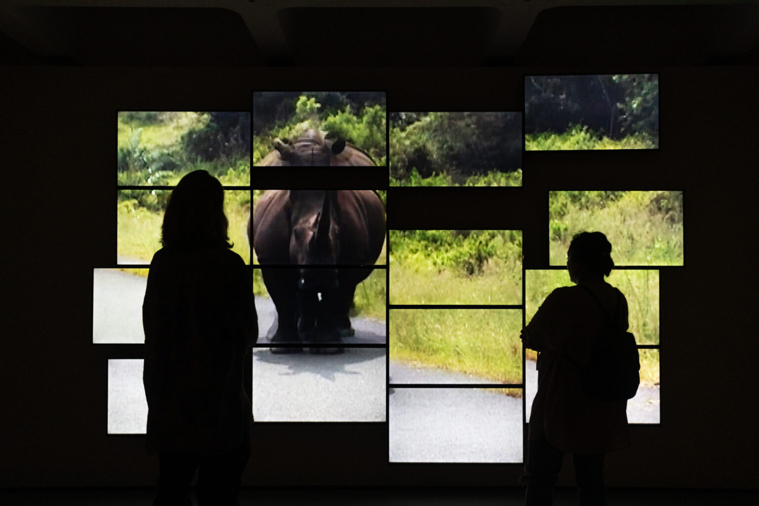 27.-ReSisters-A-Lens-on-Gender-and-Ecology-Installation-view-Barbican ...
