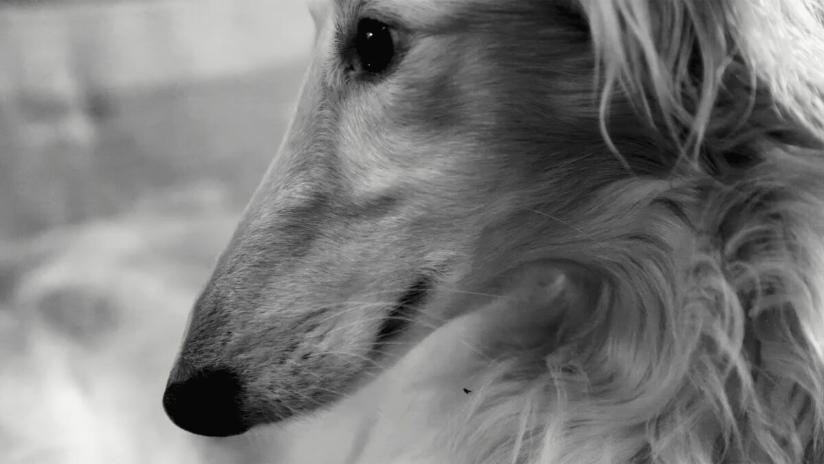 Tate Britain to present the first UK survey exhibition of Ed Atkins ...