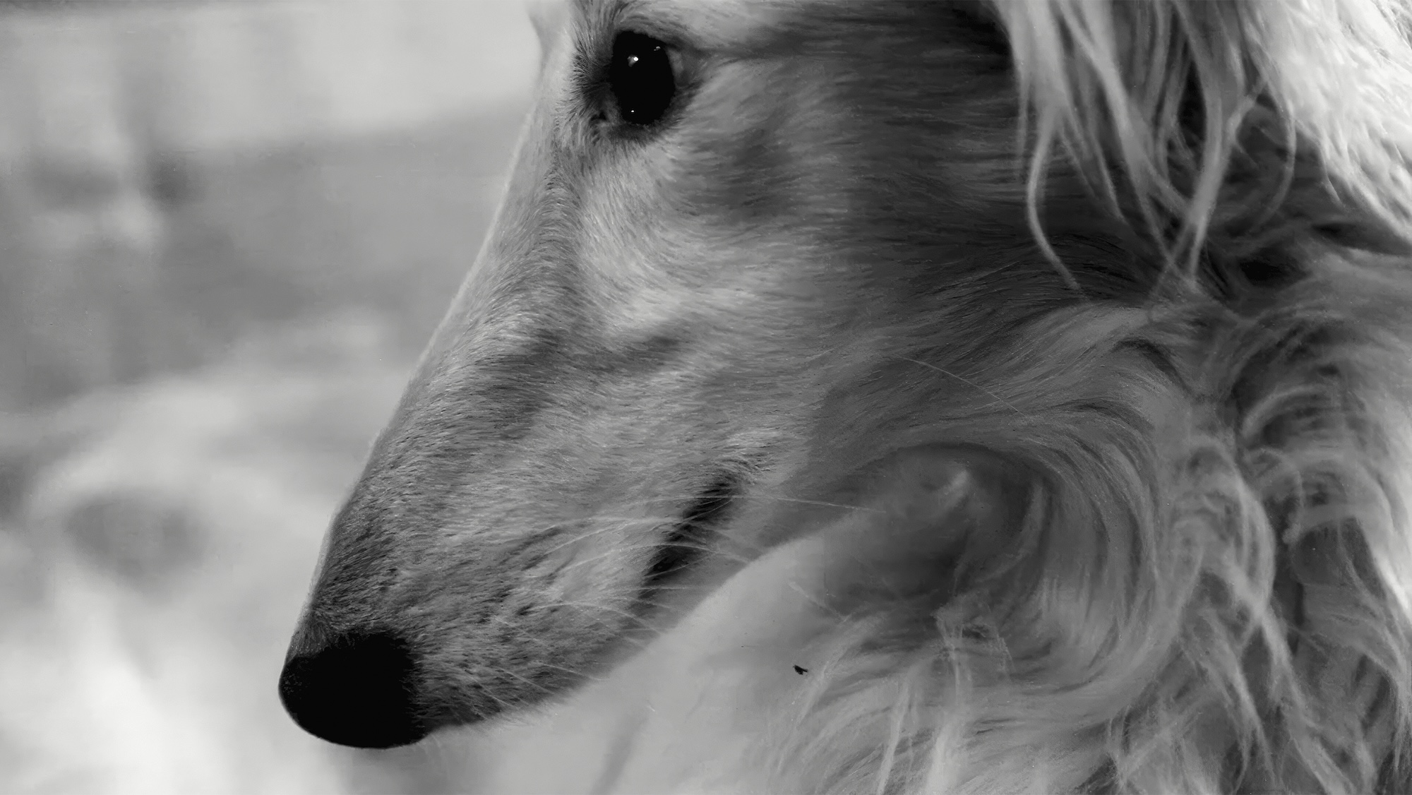 Tate Britain to present the first UK survey exhibition of Ed Atkins ...