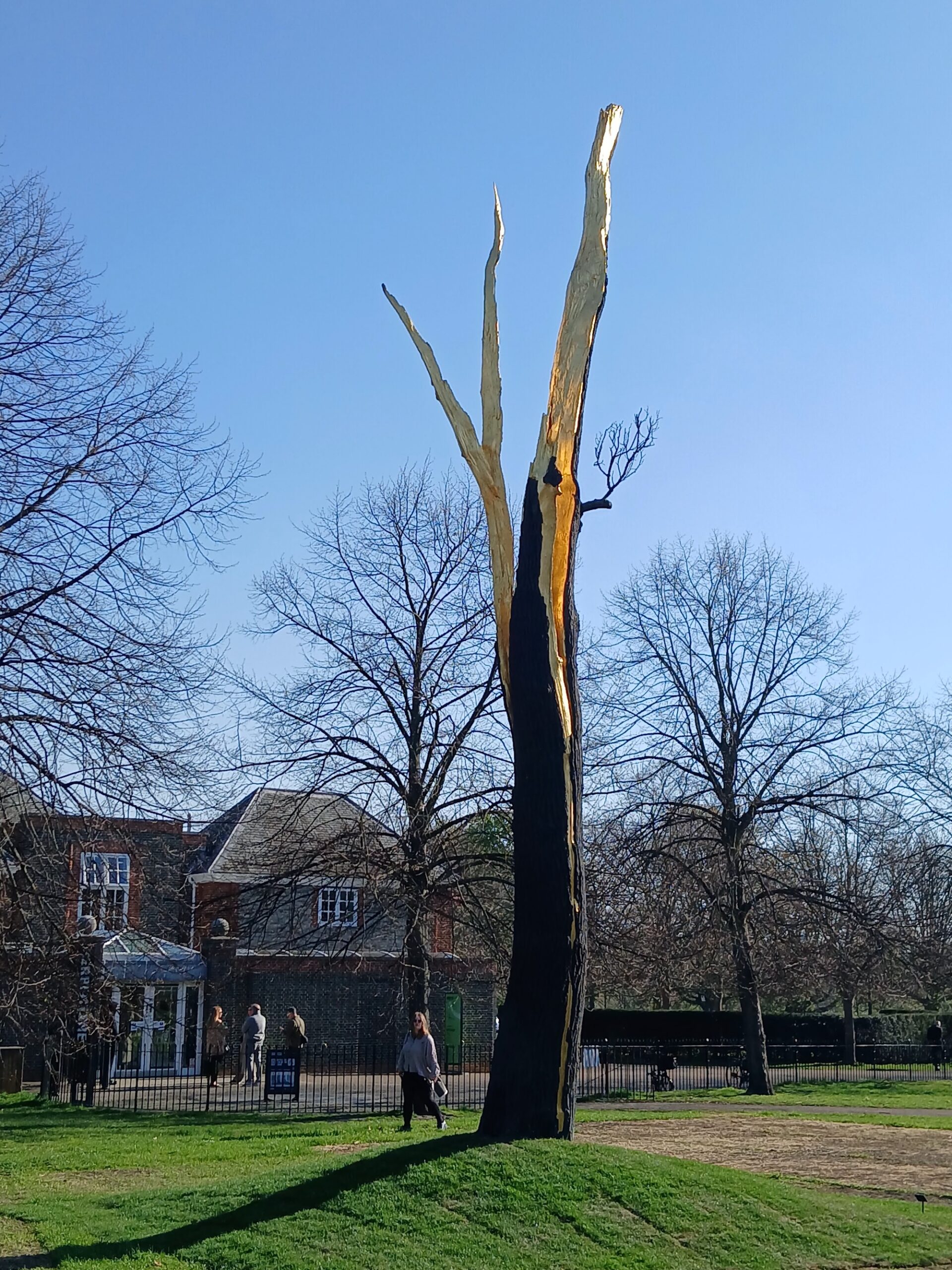 Giuseppe Penone - Albero folgorato (Thunderstruck Tree, 2012). Photo ...