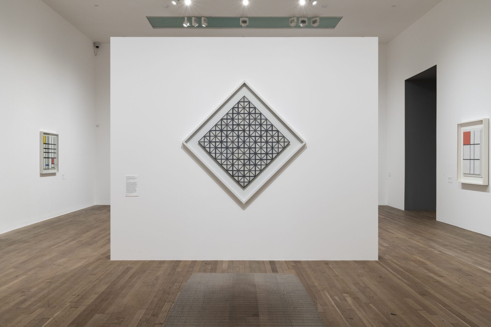 Press Photography of Hilma Af Klint and Piet Mondrian: Forms of Life ...