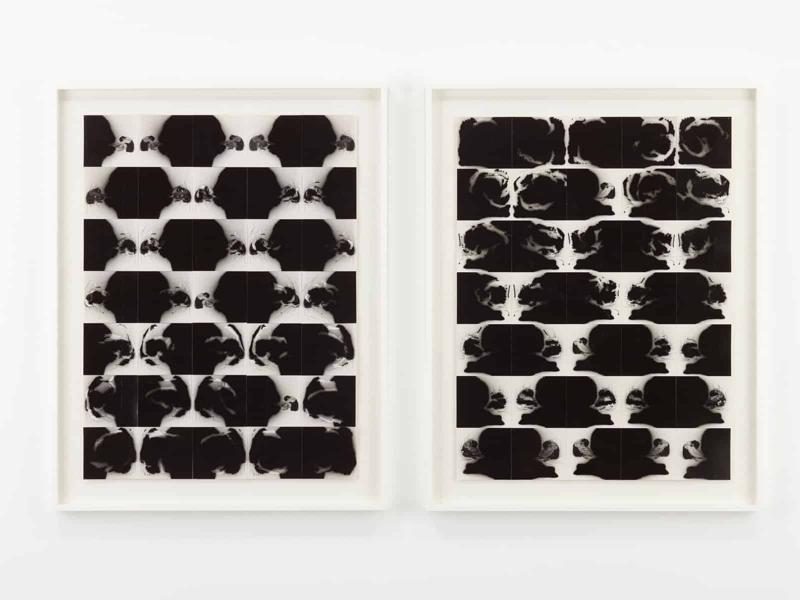 Outside, looking in: Richard Saltoun celebrates the role of women in ...
