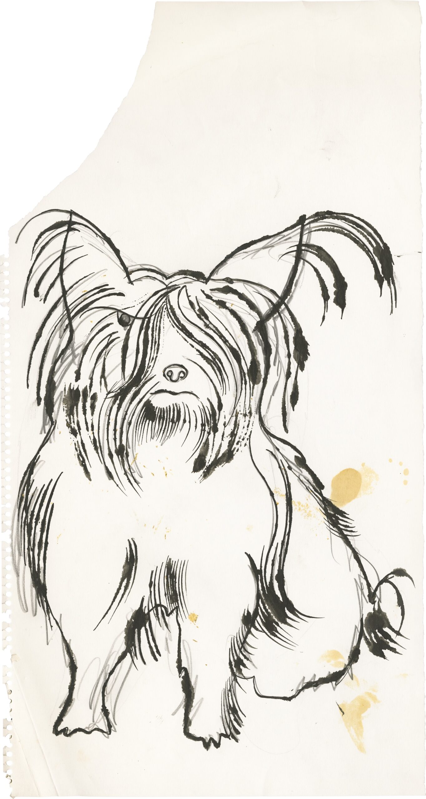 Andy Warhol Untitled (Angry dog), c.1956 Ink and graphite on paper 45.4 ...