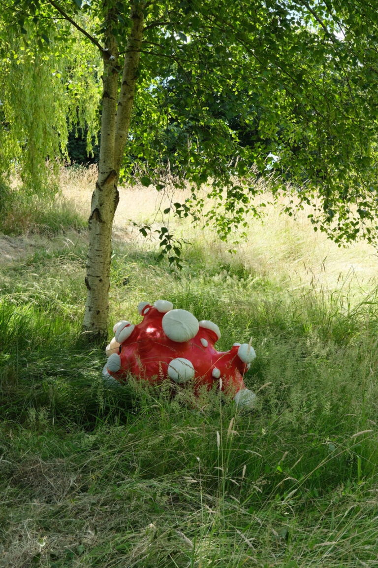 7.-The-Occasionale-2022-Zero-Gravity-A-Landing-Judith-Adler ...