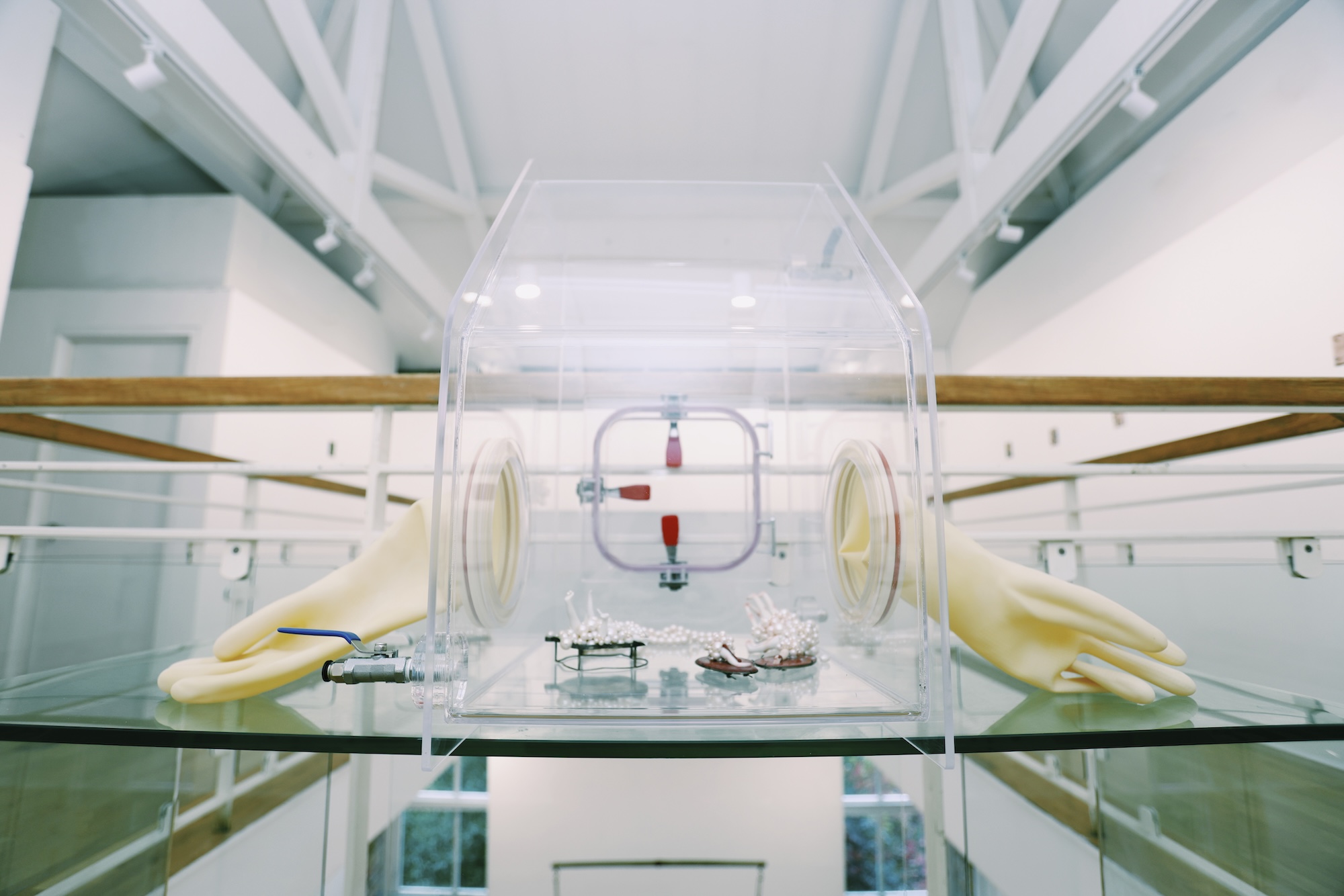 Guan Guan Solo Exhibition Zha Gu London 2024, Hometown Diary of an ...
