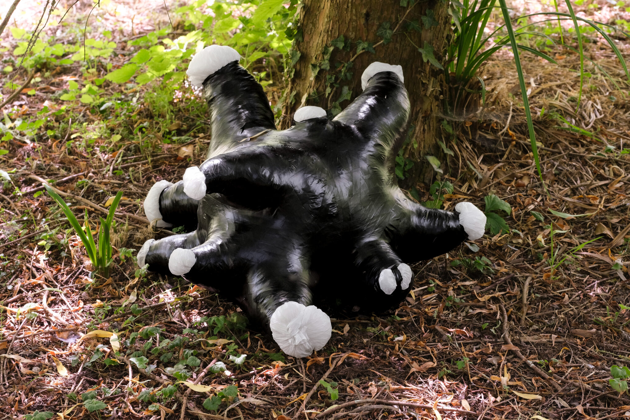 8.-The-Occasionale-2022-Zero-Gravity-A-Landing-Judith-Adler ...