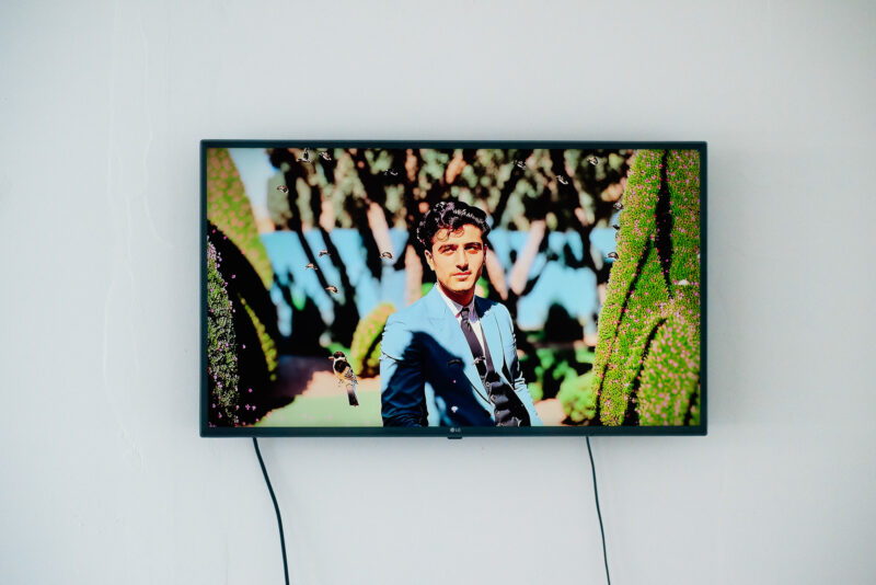 Adonia-Bouchehri_Ghassem-2023_install-view-at-SET-Kensington_Photo-by ...