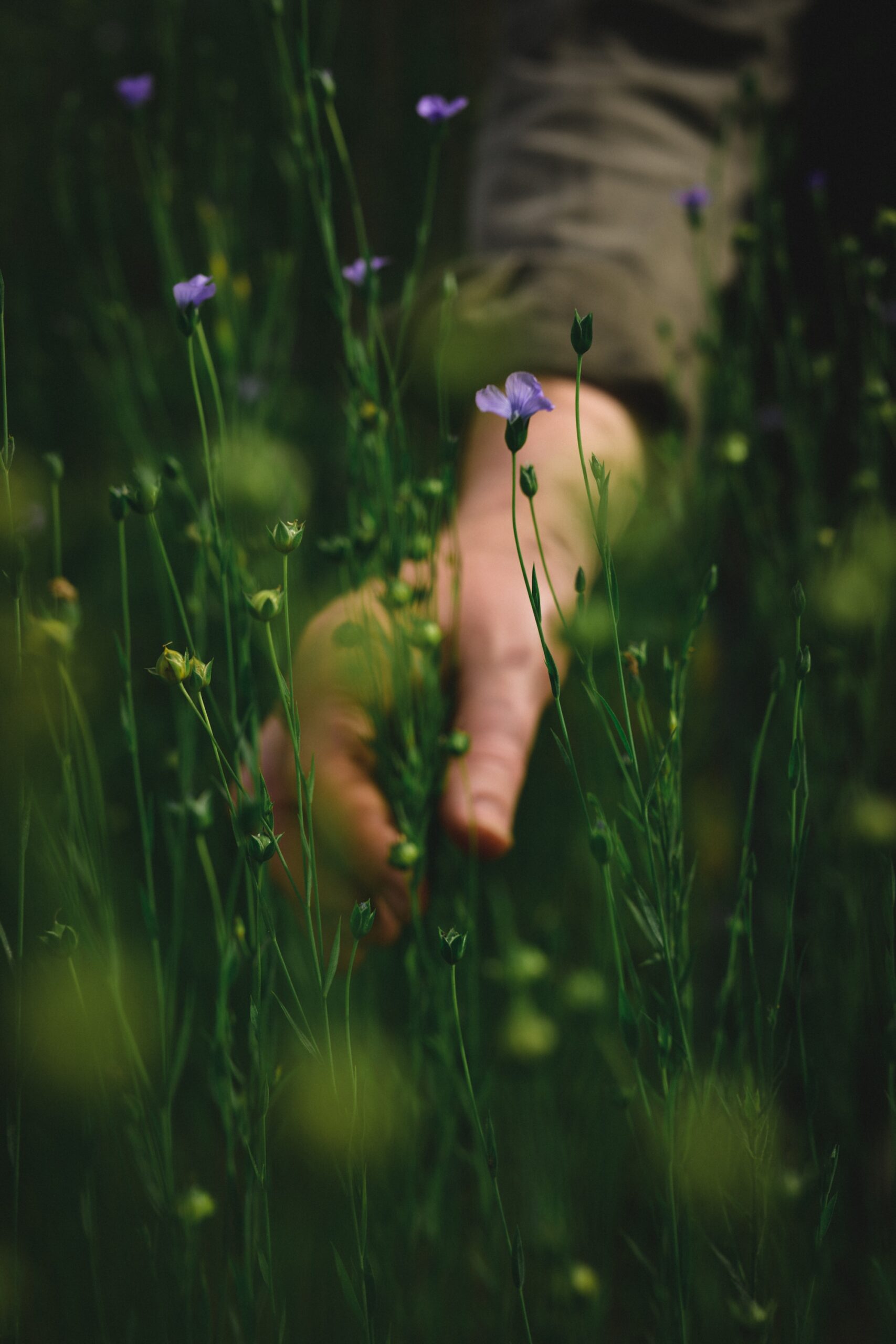 Flaxen showcases the artwork Alice Fox has made with materials ...