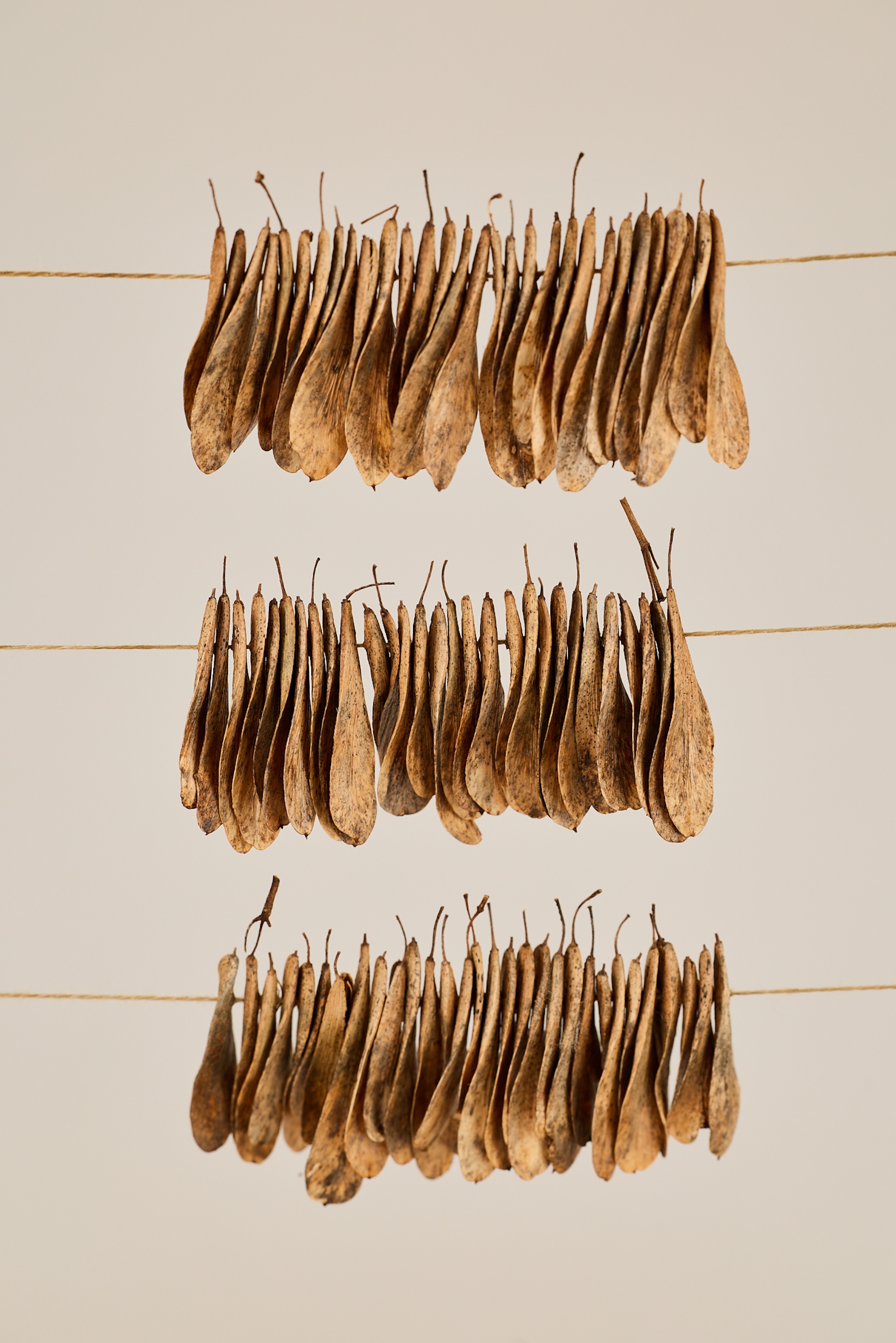 Flaxen showcases the artwork Alice Fox has made with materials ...