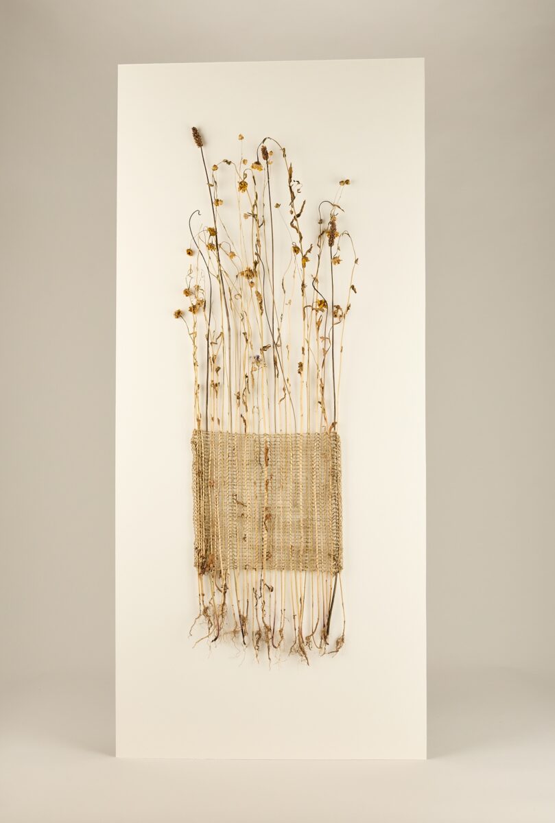 Alice Fox, Field Fragment. Photo credit David Lindsay. Courtesy Kestle ...