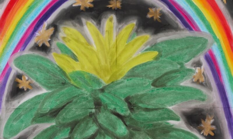 Top 10 highlights for Edinburgh Art Festival 2024 - FAD Magazine