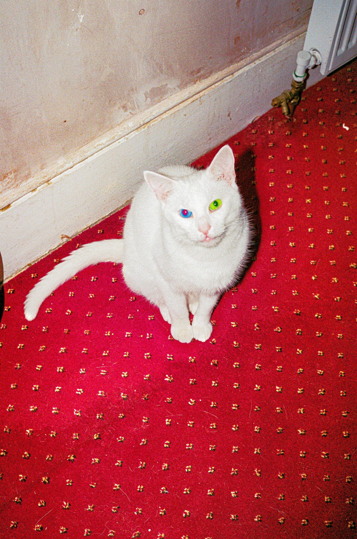 Photo London opens this week marking its 10th anniversary. - FAD Magazine