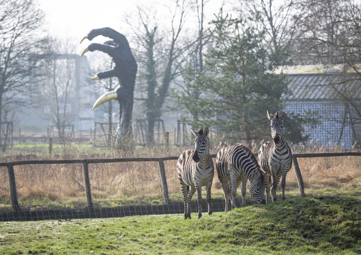 Koen Vanmechelen’s 'Future Garden' opens at LABIOMISTA in Belgium ...