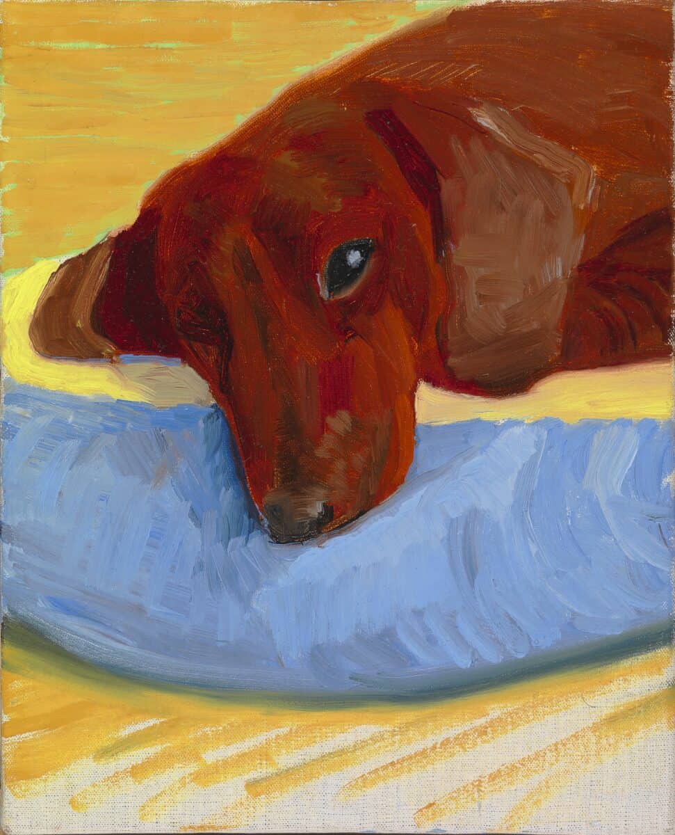 Faithful and Fearless: Portraits of Dogs from Gainsborough to Hockney ...