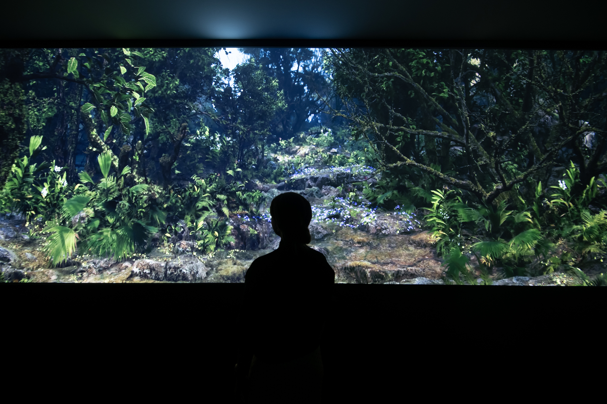Mat Collishaw's Petrichor explores the intersection of art, nature ...