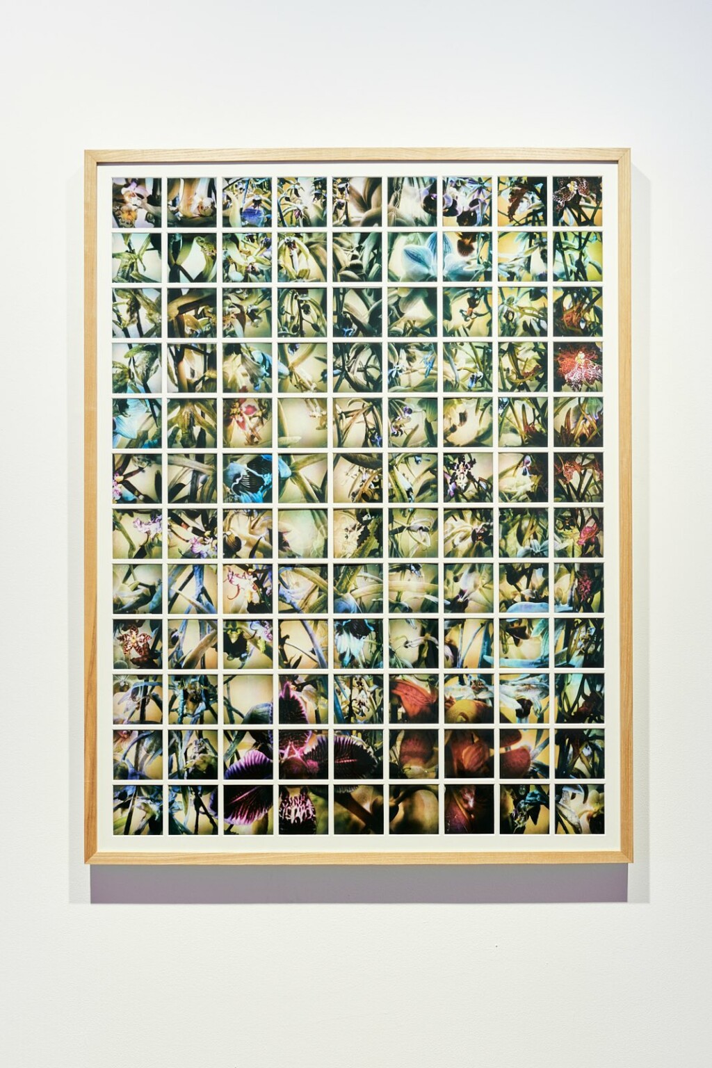 Anna Ridler x Sofia Crespo win the Artist of the Year at ABS Digital ...