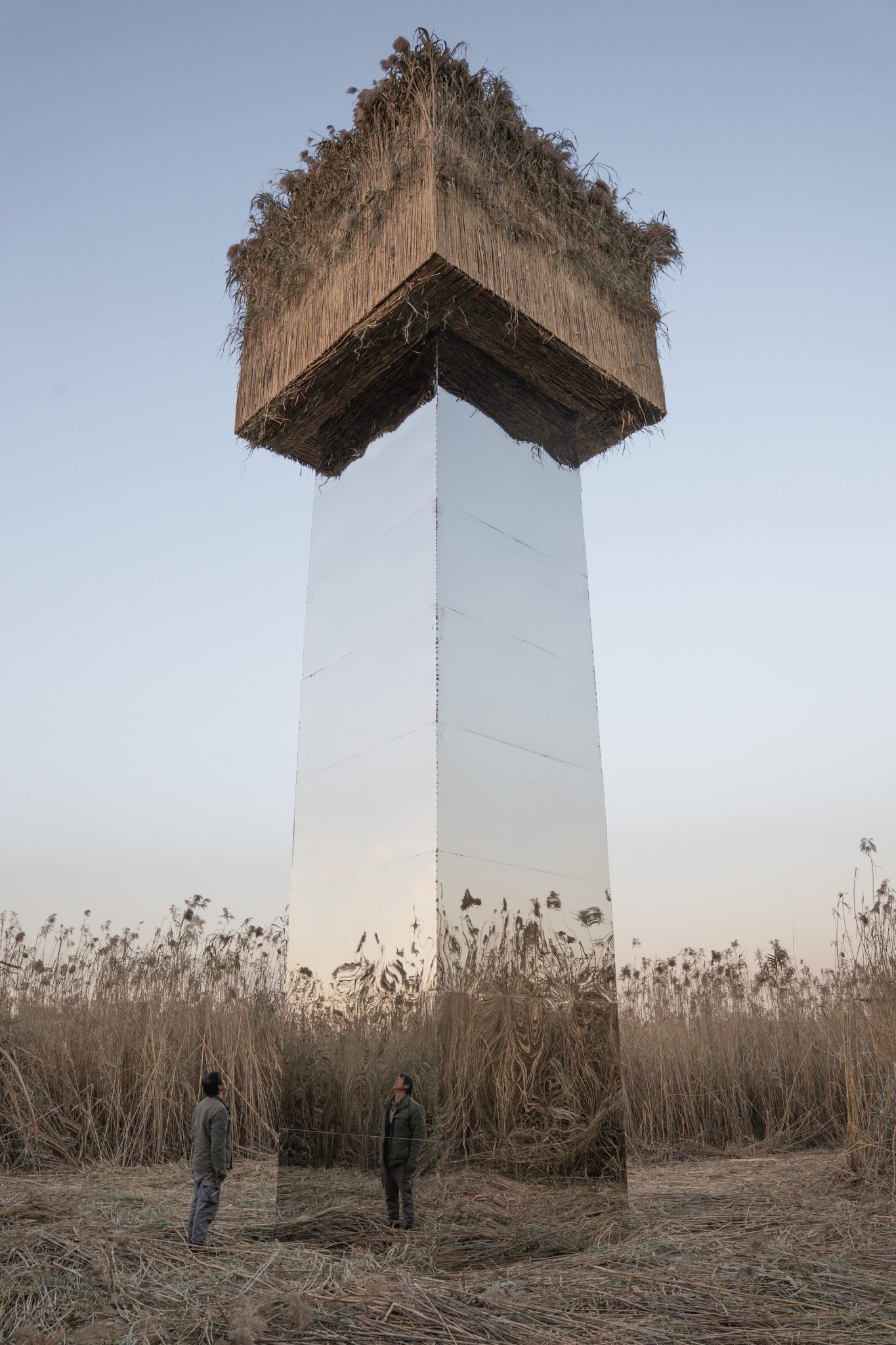 Floating Soil by SSG Collective: Art and Nature - FAD Magazine