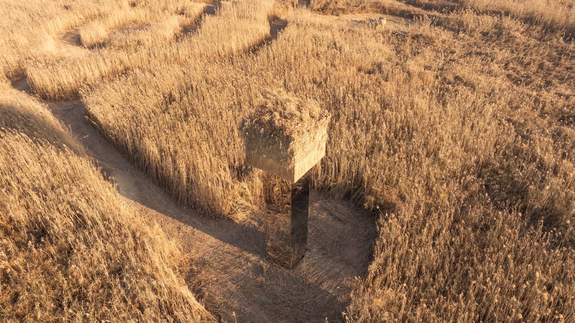 Floating Soil by SSG Collective: Art and Nature - FAD Magazine