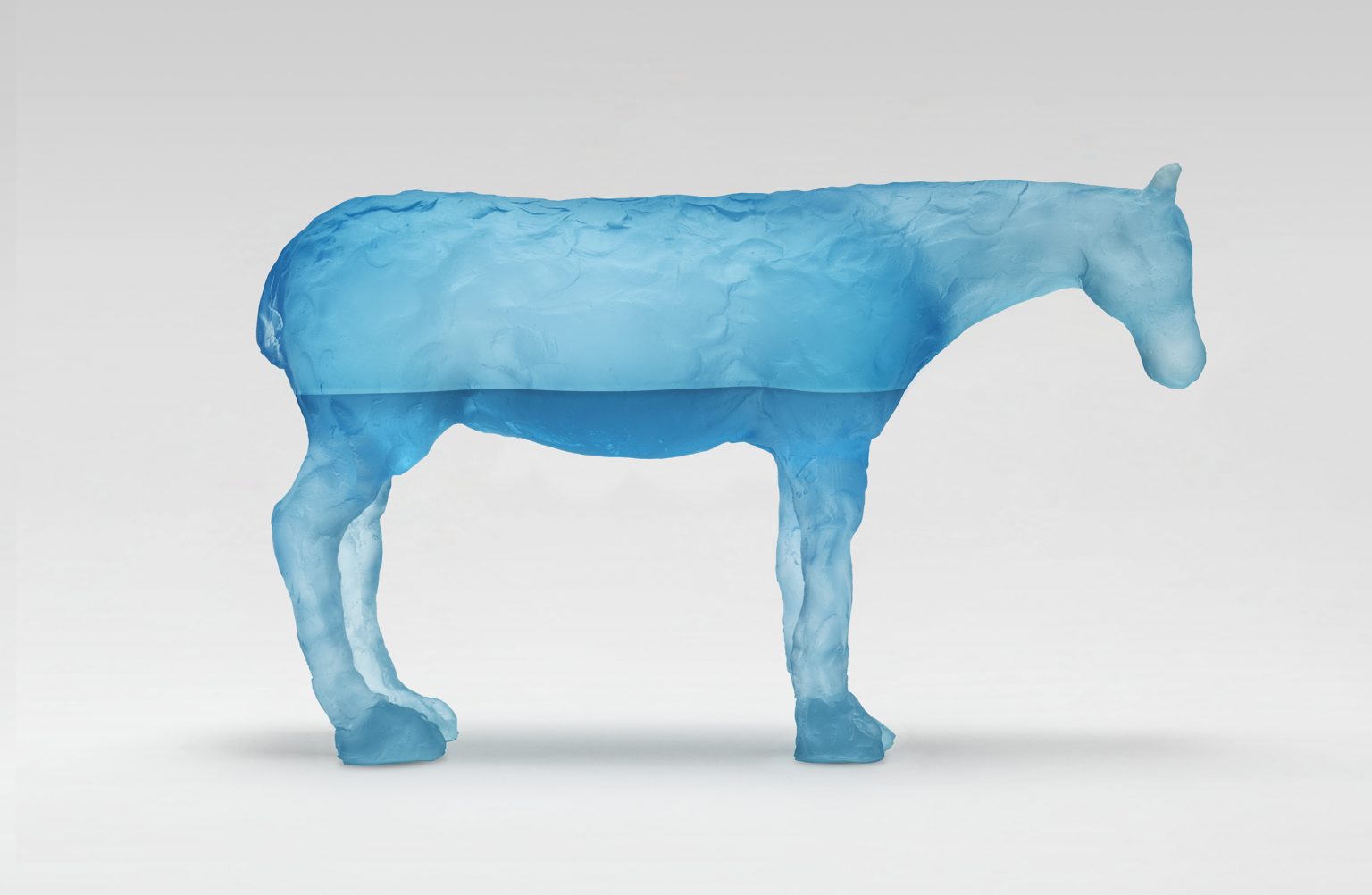 Ugo Rondinone a sky . a sea . distant mountains . horses . spring ...