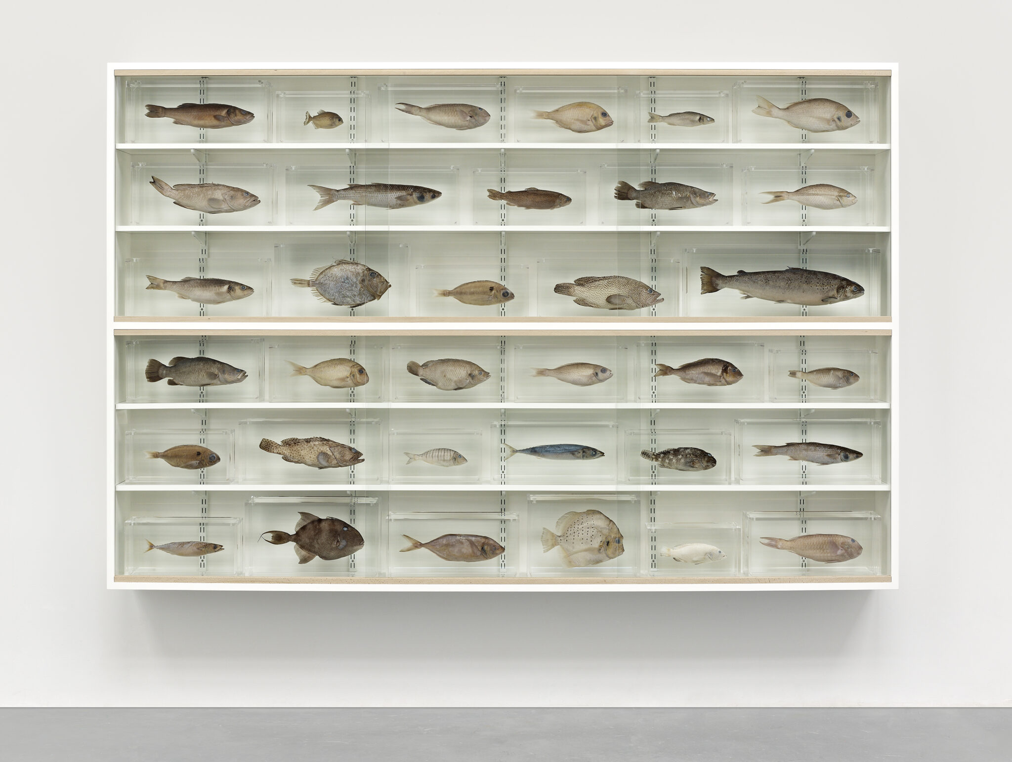 Damien Hirst's formaldehyde sculptures feature in new exhibition. - FAD ...