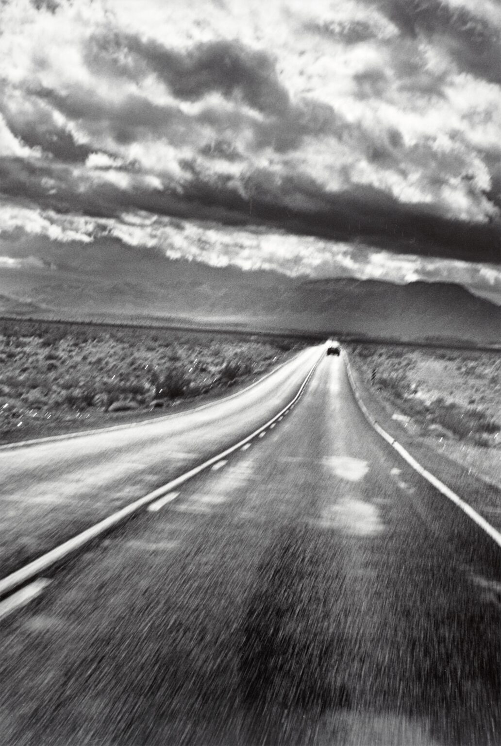 Damien Hirst opens 'Where the Land Meets the Sea' featuring never ...