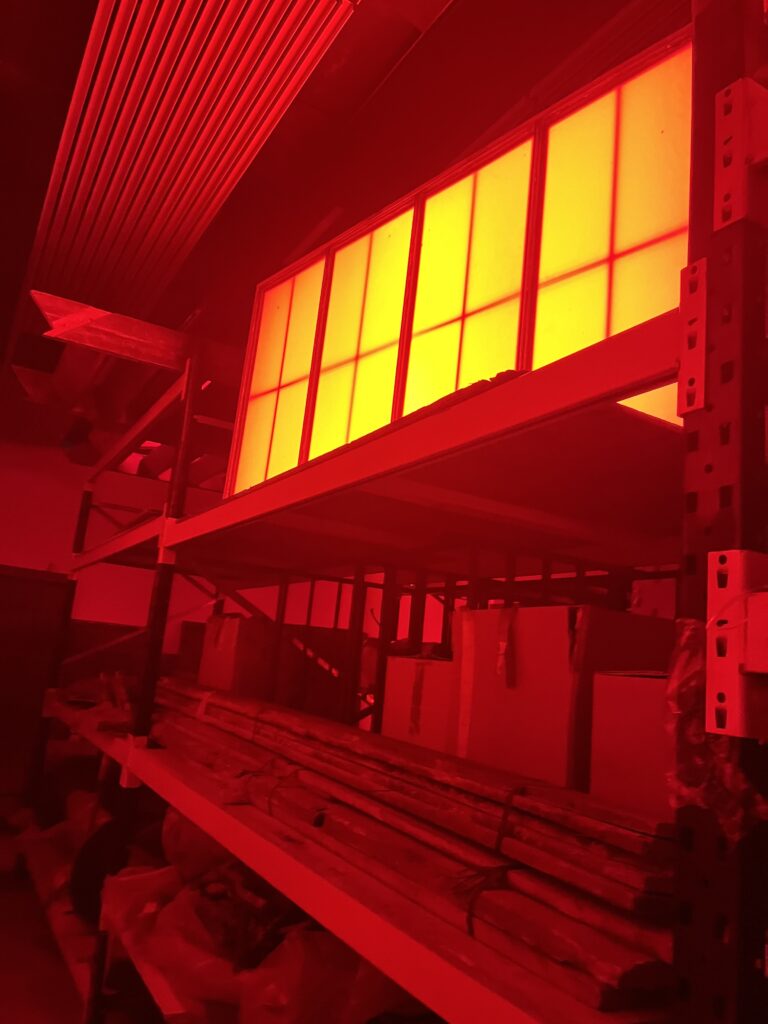 Mike Nelson: Extinction Beckons - 'A Workout For Your Imagination ...