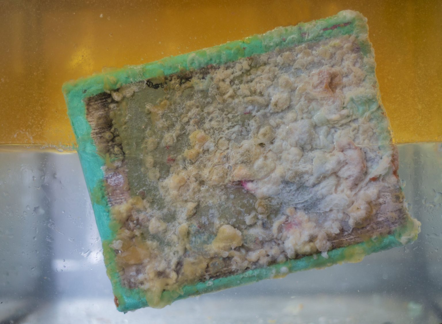 Fry Up: Deep fried painting ... - FAD Magazine