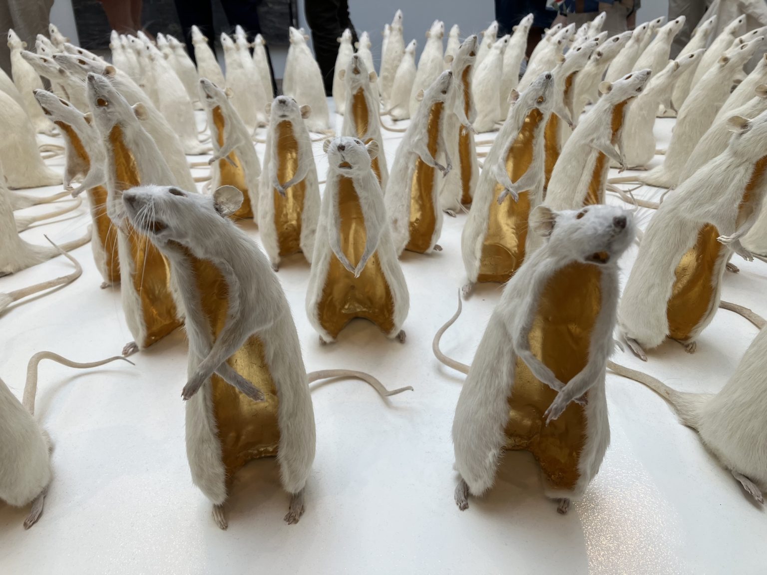 10 to see at RA Summer Show 2025 - FAD Magazine