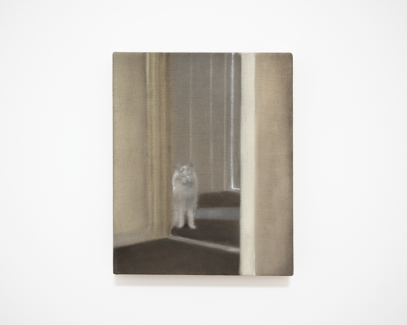 Purist Gallery: A Journey into Transparency - FAD Magazine