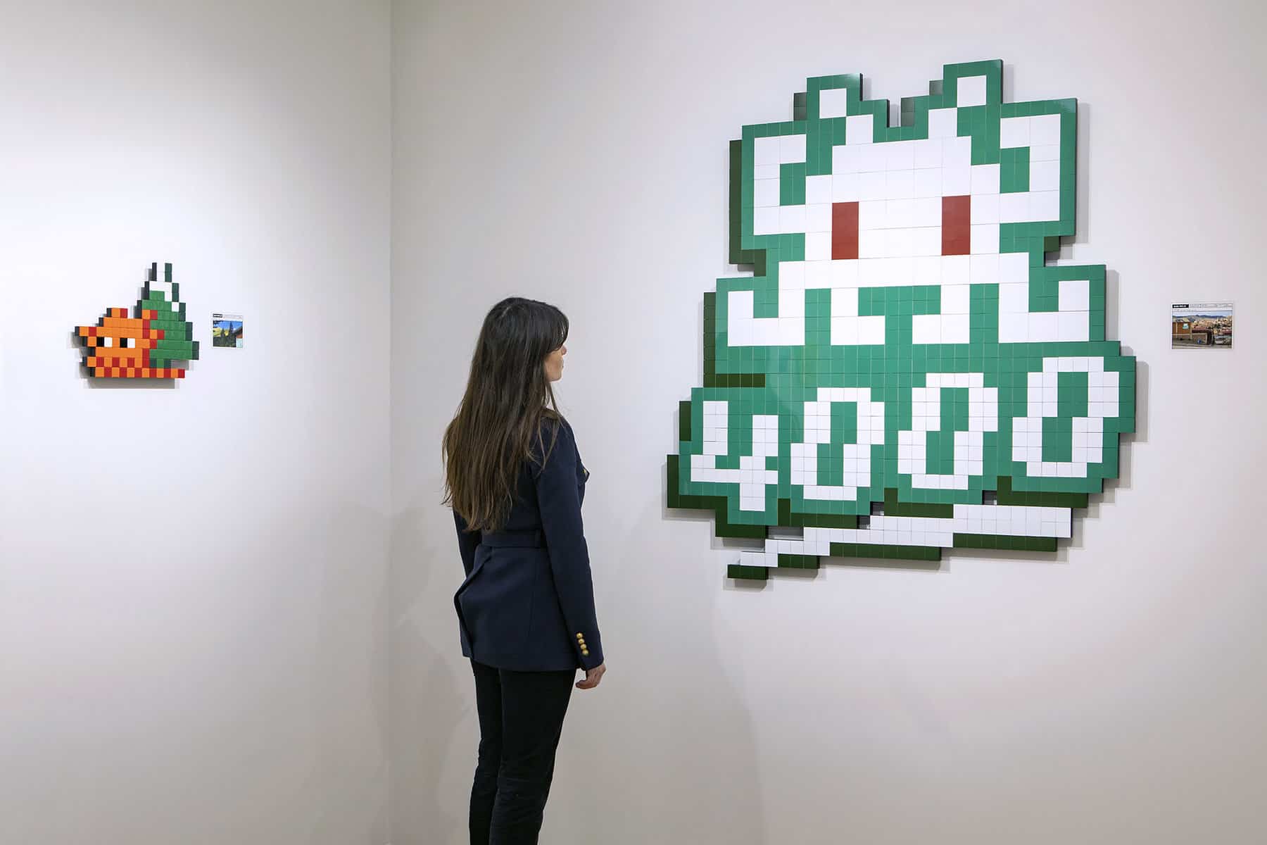 INVADER- 4000, Exhibition & Artist Book, a complete guide to the Space ...