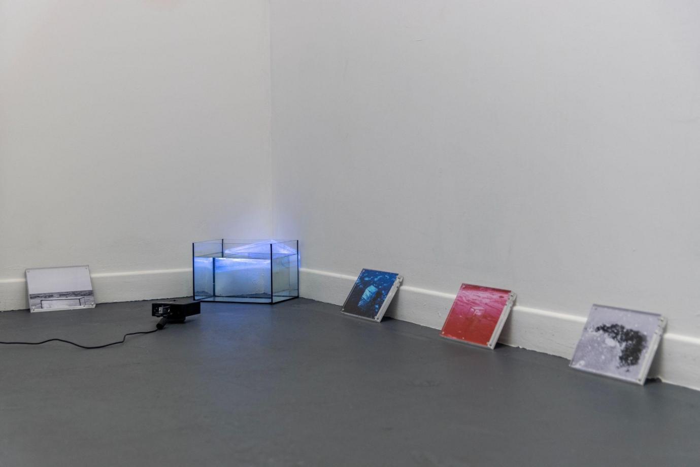 Iris Jingyi Zeng, Aquarium, 2022 - FAD Magazine