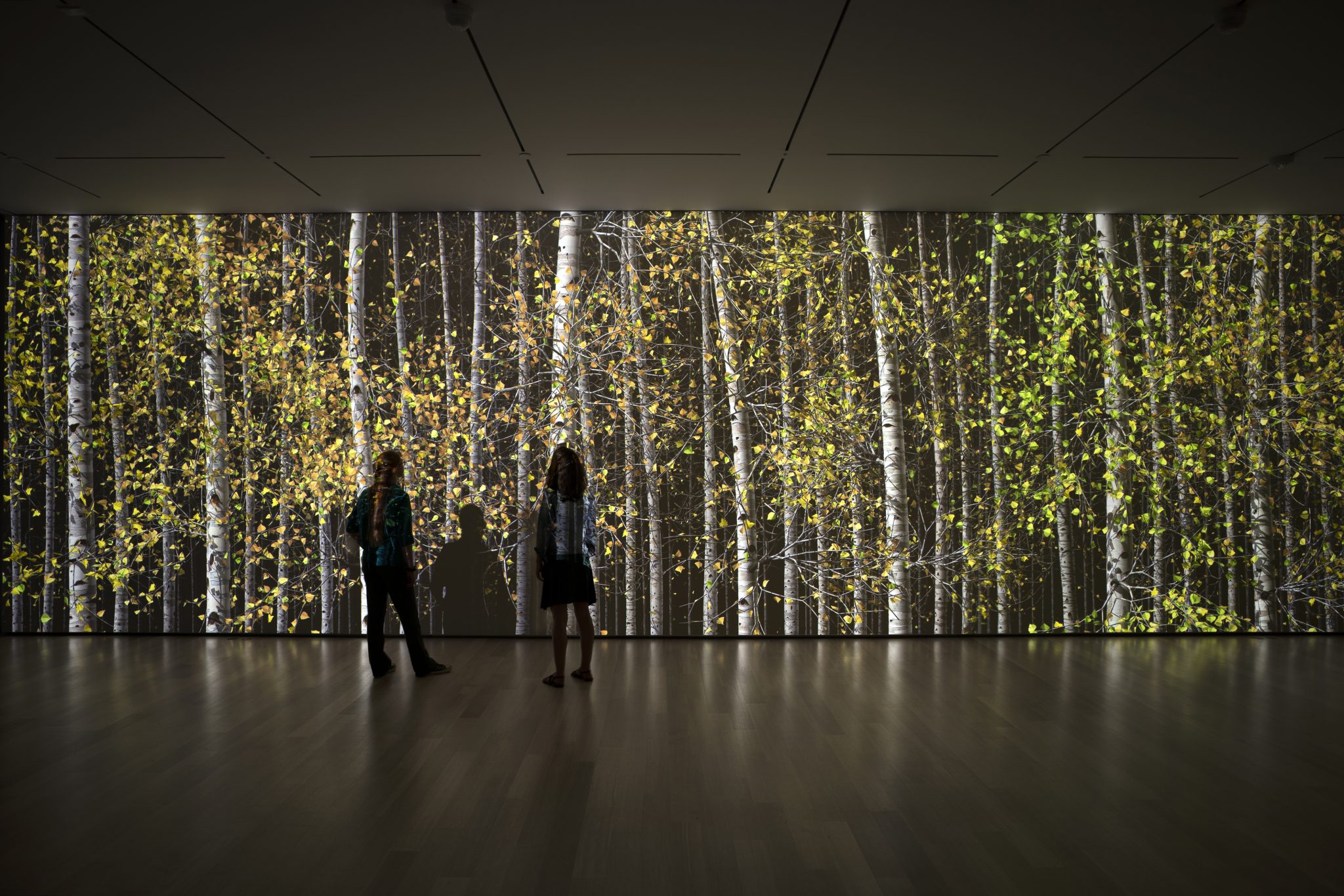 'Among the Trees' first comprehensive art exhibition exploring Trees ...