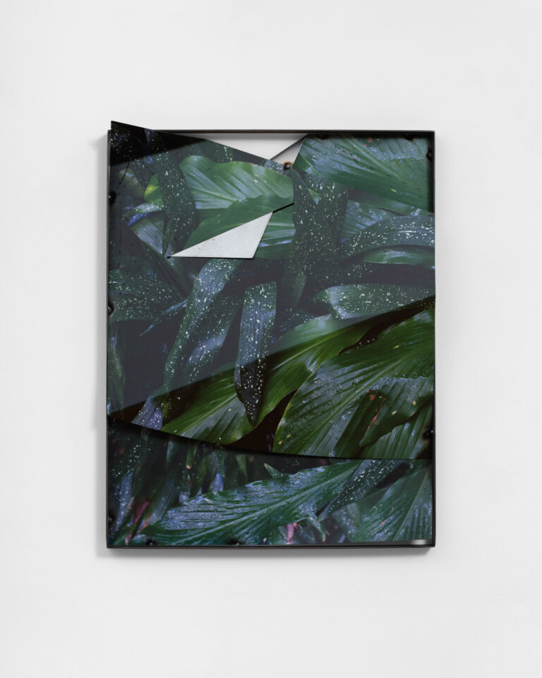 Letha Wilson's -debut solo exhibition in the UK 'Fields of Vision' to ...