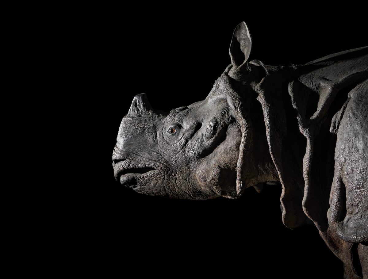 Versailles: Science & Splendour opens at the Science Museum - FAD Magazine