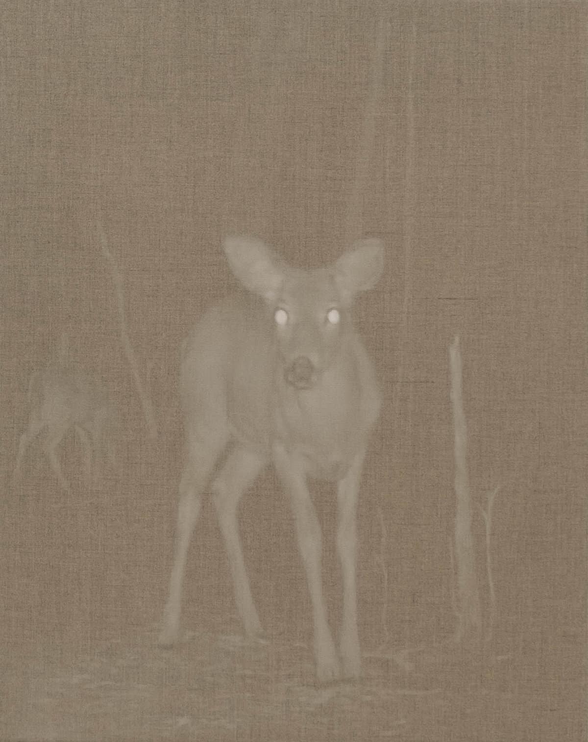 Mat Collishaw to open new solo exhibition in London. - FAD Magazine