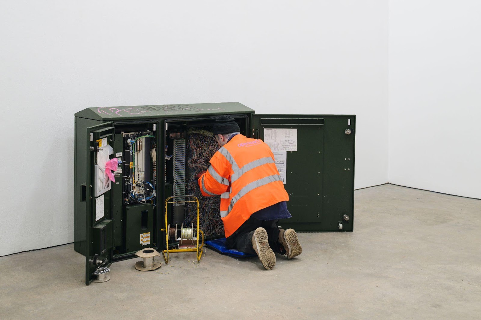 Mark-Dion-Install-View-courtesy-Ikon-Gallery - FAD Magazine