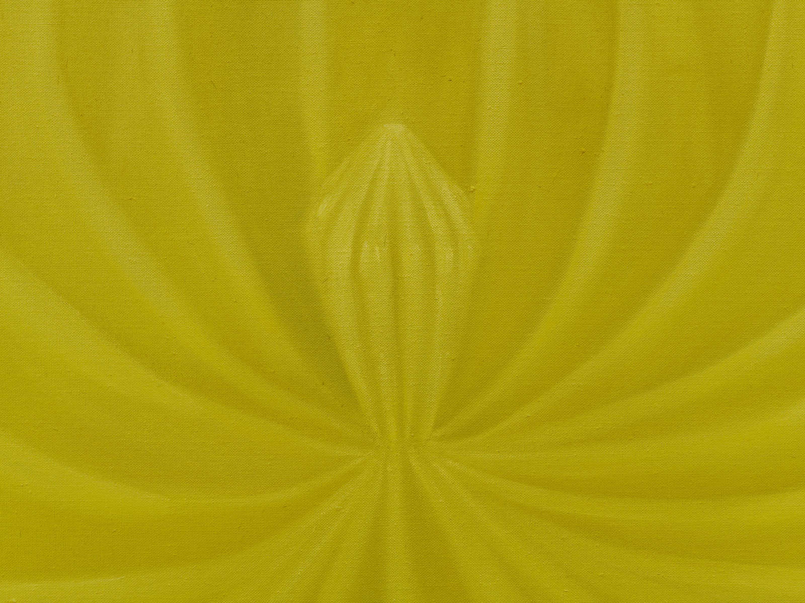 Meet some of the artists behind ‘On the edge of fashion’ at Rose Easton ...