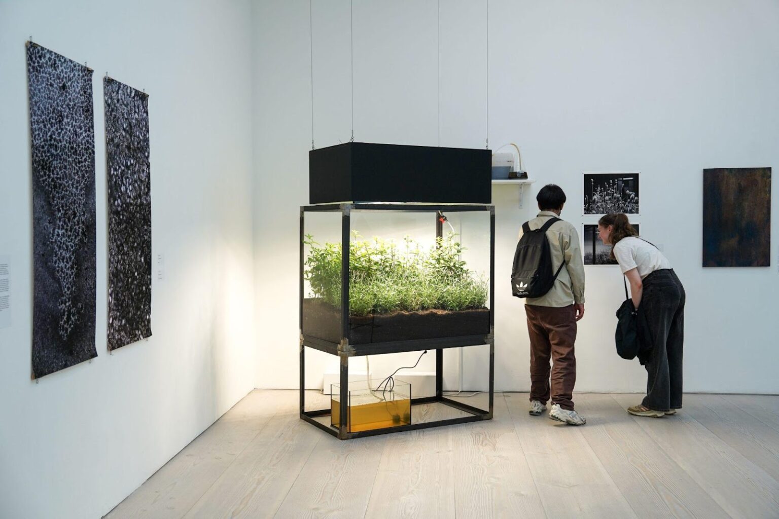 Metamorphosis-@-Saatchi-Gallery - FAD Magazine