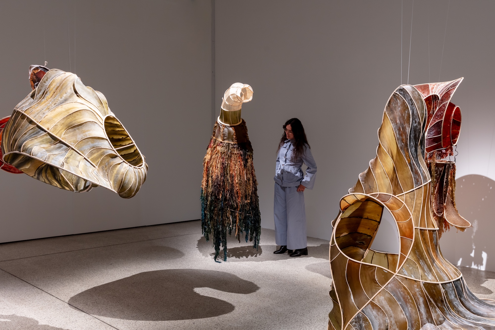 The Design Museum launches first major museum exhibition on more-than ...