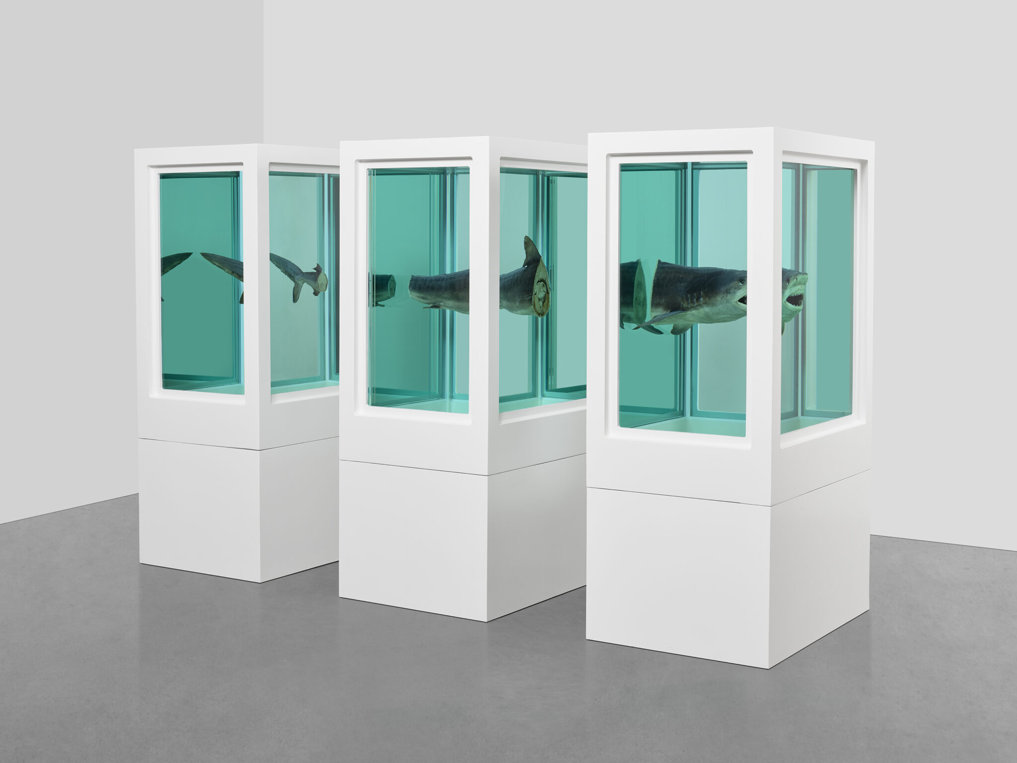 Damien Hirst formaldehyde animal works made in 2017 dated to the 1990s ...