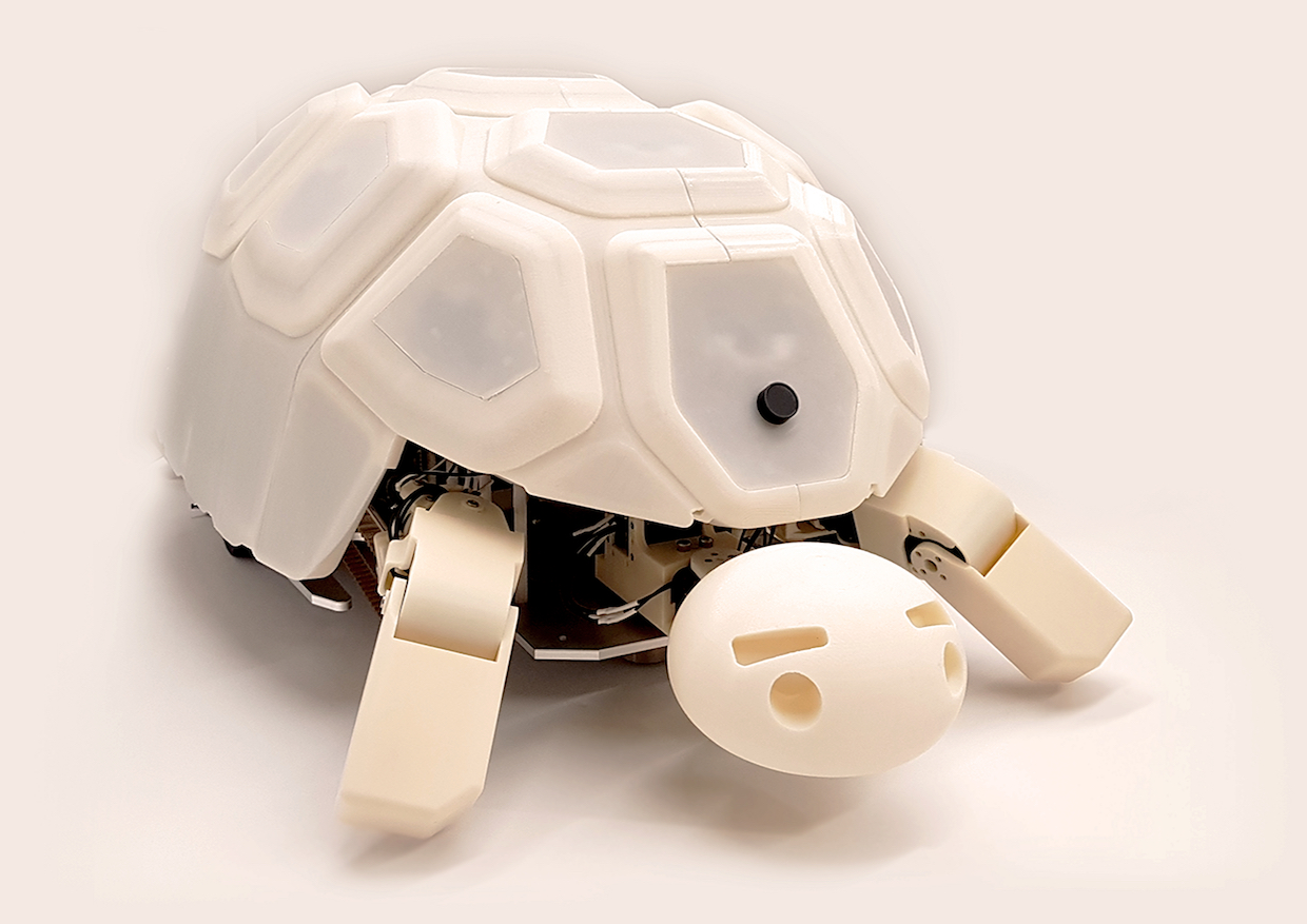 Shelly the tortoise robot - FAD Magazine