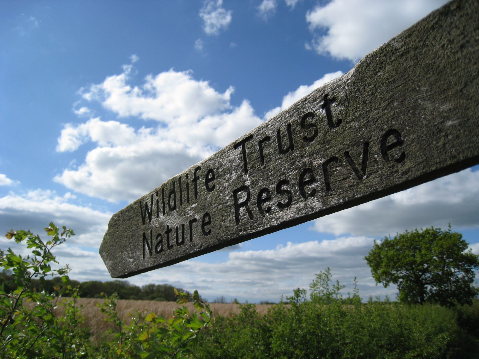 Nature reserve sign 2 (c) Adam Cormack - FAD Magazine