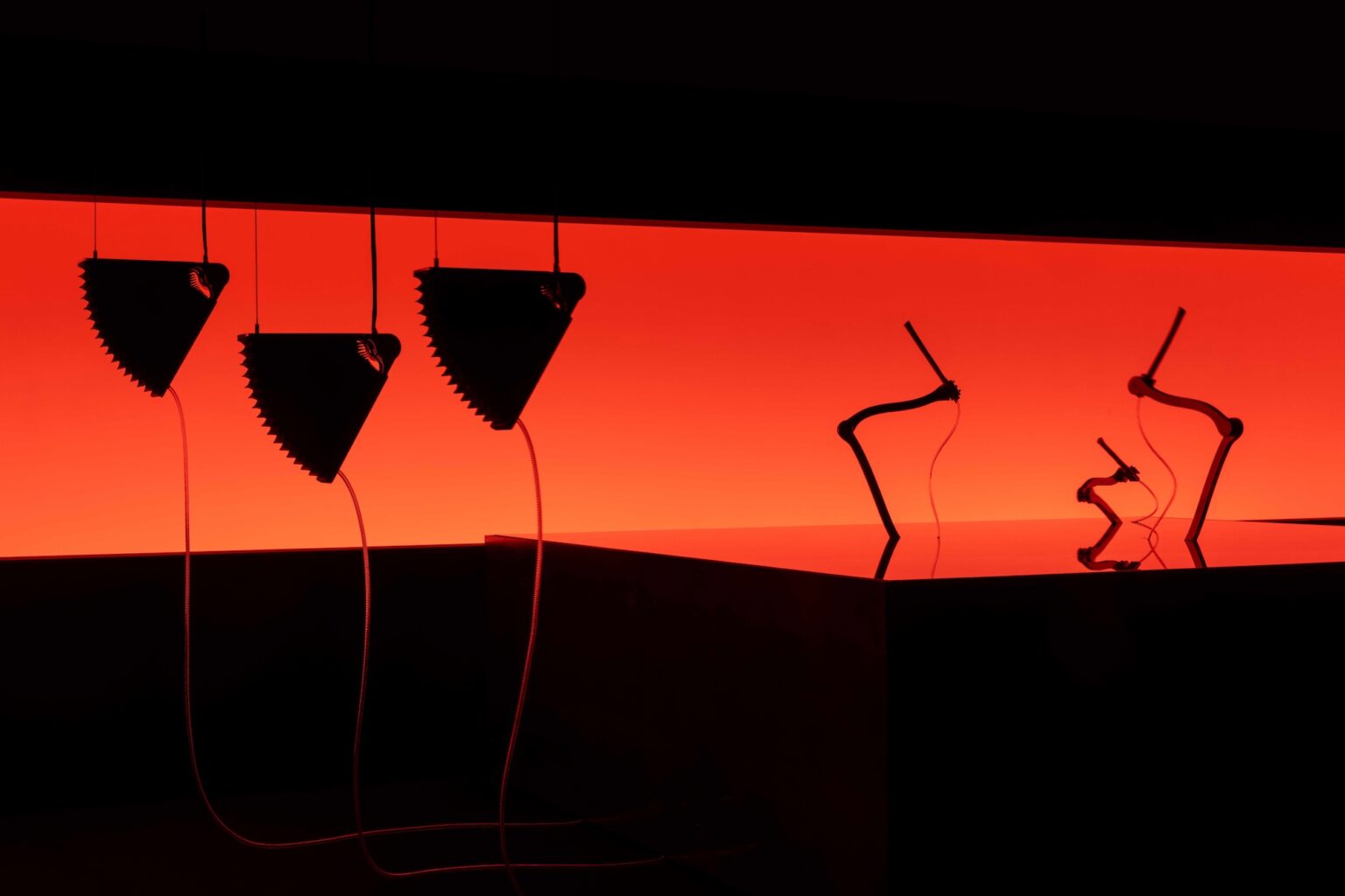 Landmark exhibition on more-than-human design to open at the Design ...
