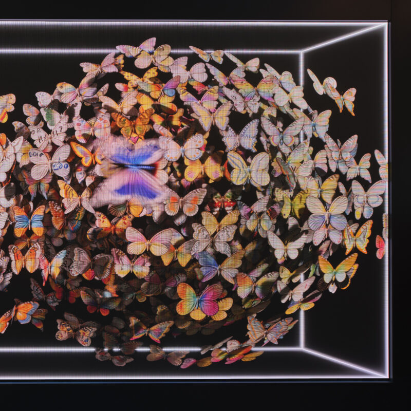 AI powered new interactive artwork from Dominic Harris unveiled. - FAD ...